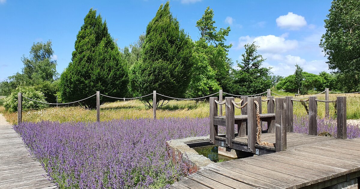 Rätsel um Rätsel durch die Natur – Klasse unterwegs